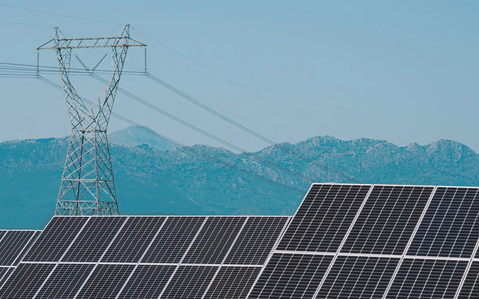 MBA Sustainability Programs 2025: Roadmap to Getting Admitted - The Admit Lab